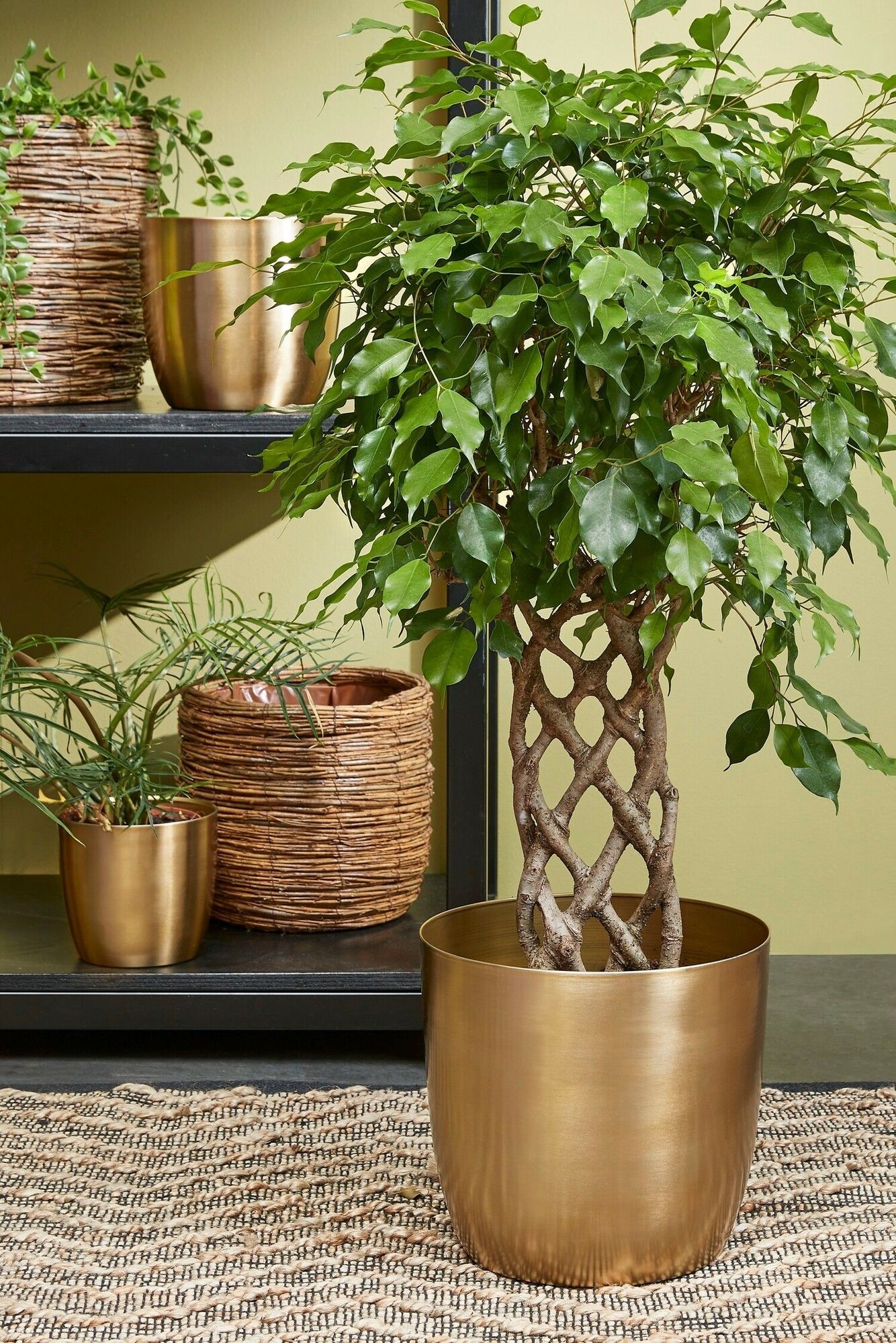 Golden Metal Plant Pot | Buy Plant Pots UK | Oxy-Plants